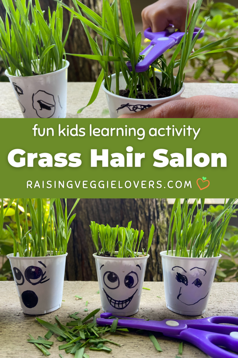 Grow Your Own Grass Hair Salon for Toddlers (Fun + Fine Motor Practice ...