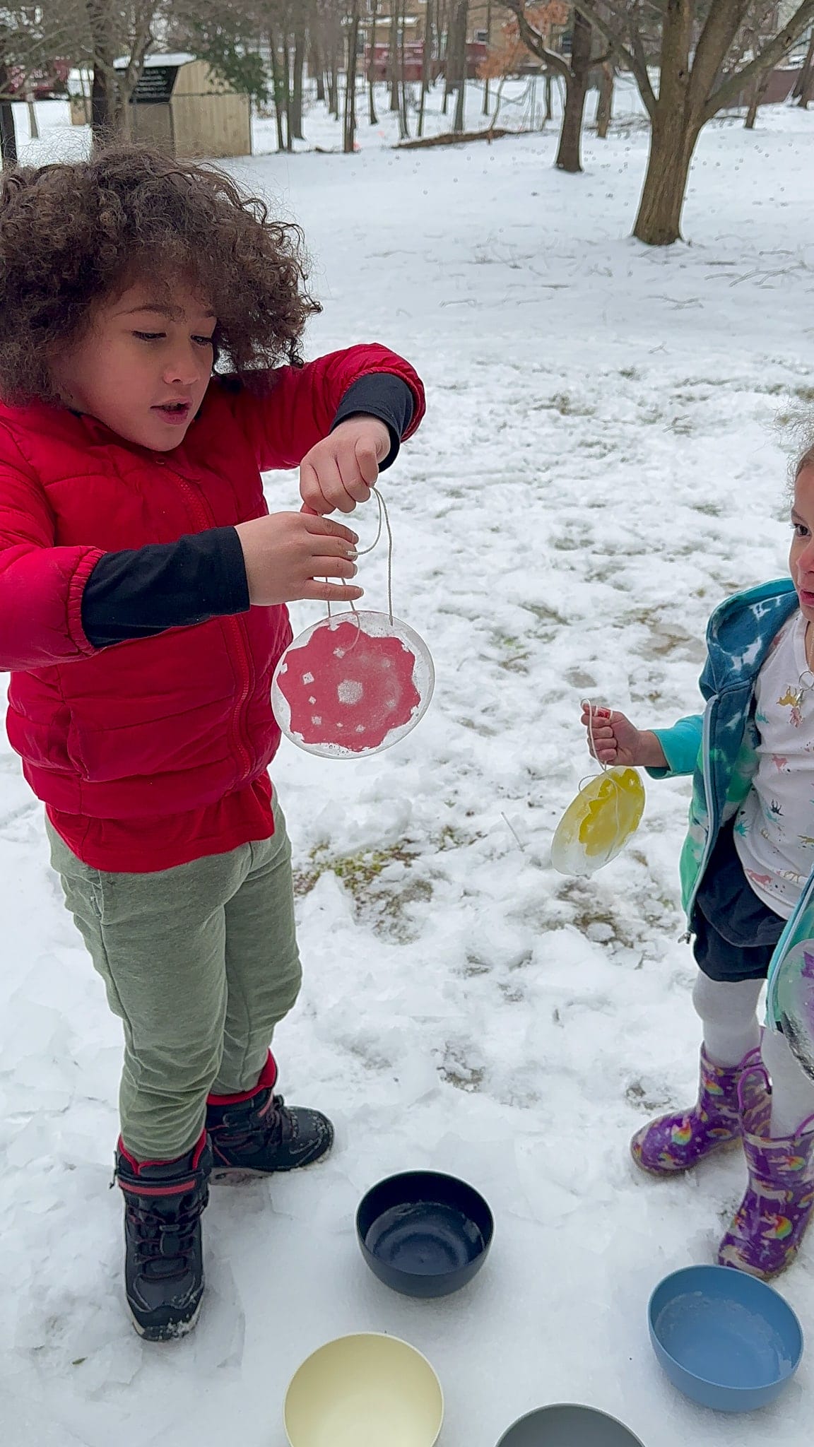 Frozen Snowflake Ornaments - Kids Winter Craft - Raising Veggie Lovers ...