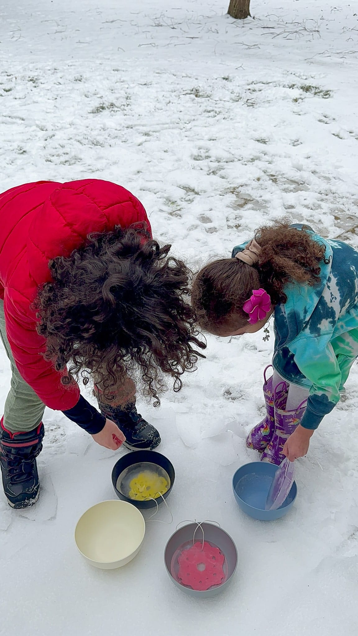 Frozen Snowflake Ornaments - Kids Winter Craft - Raising Veggie Lovers ...