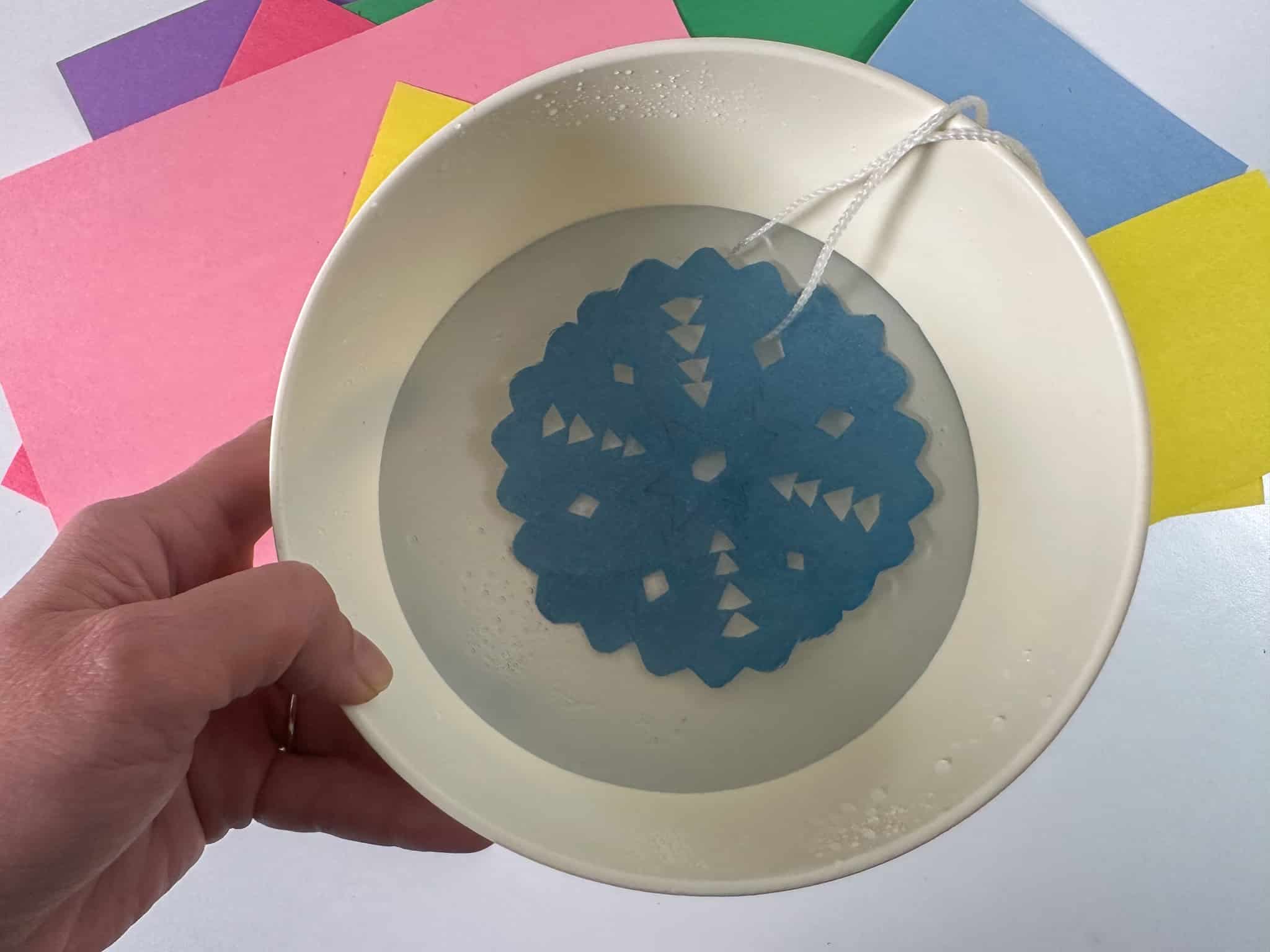 Frozen Snowflake Ornaments - Kids Winter Craft - Raising Veggie Lovers ...