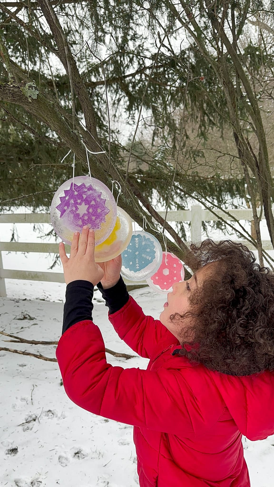 Frozen Snowflake Ornaments - Kids Winter Craft - Raising Veggie Lovers ...