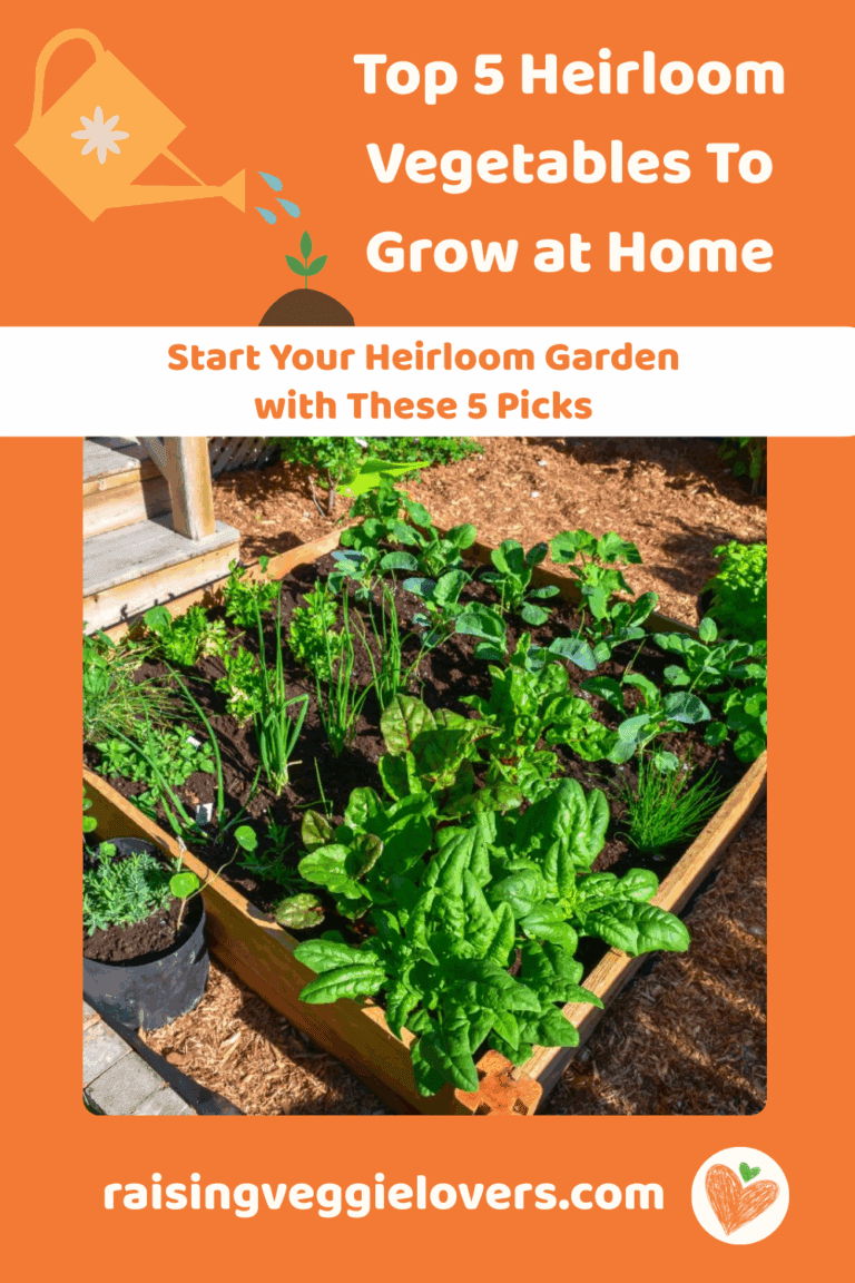 Top 5 Heirloom Vegetables To Grow at Home